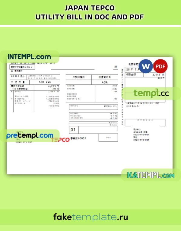 Japan Tokyo Electric Power Company (TEPCO) electricity utility bill ...