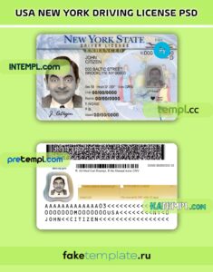USA New York driving license PSD download template – Intempl