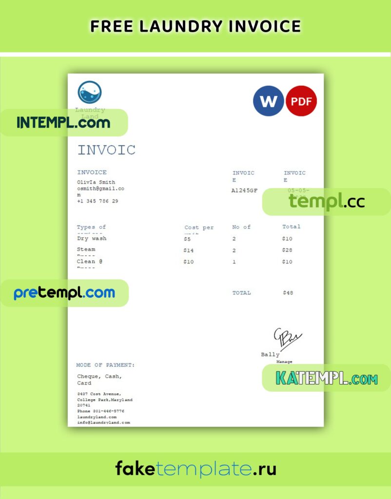 Free Laundry Invoice Word and PDF download template – Intempl
